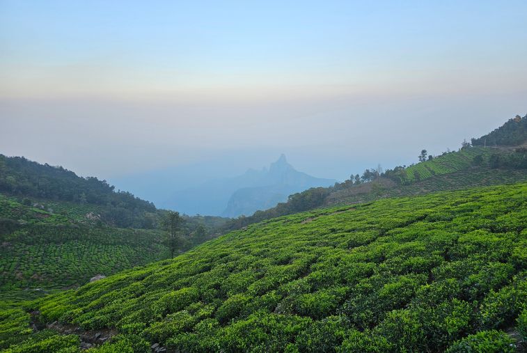 Best Time to Visit Assam | Temperature and Weather of Assam - Club Mahindra