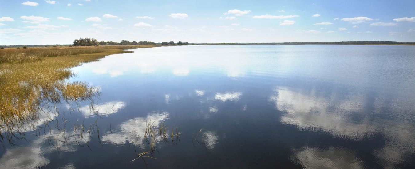 Visit to Lake Tohopekaliga with Your Family