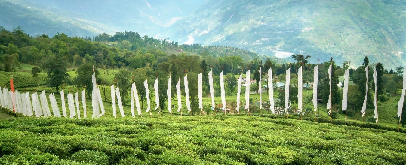 Trekking Tendong Hill with Your Family