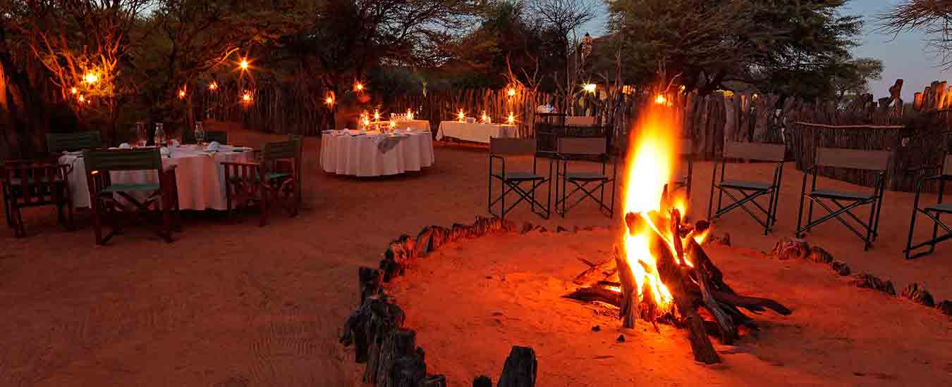 Enjoy Bonfire Dining under the Stars with Your Family