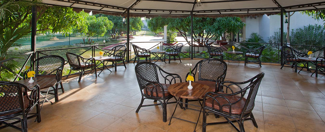 Enjoy food at Gazebo Barbecue Restaurant with Your Family