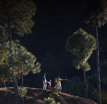 Experience the Angamoozhy Jungle Safari with your Family